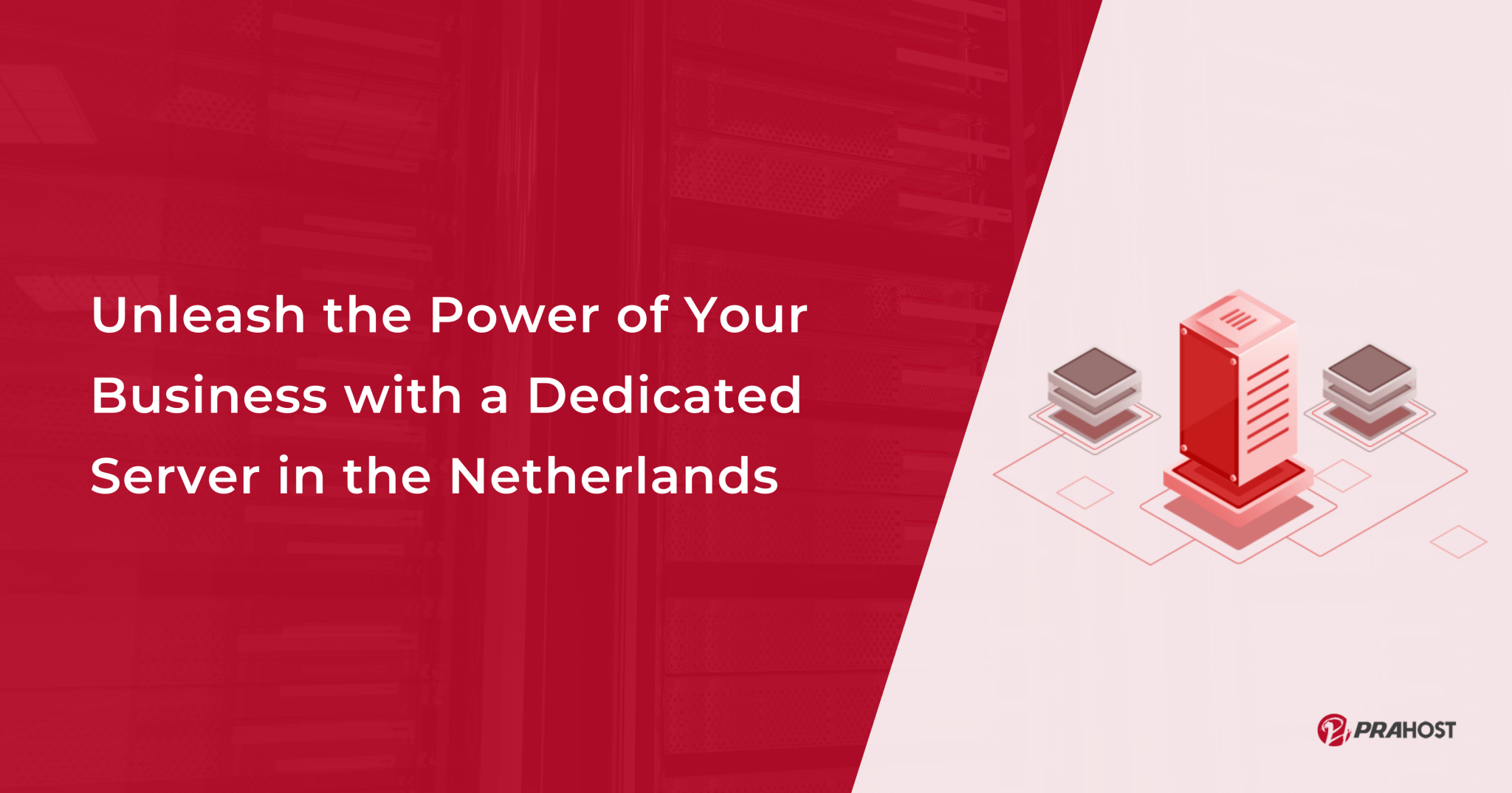 Netherlands Server IP Address - Premium Quality Solutions